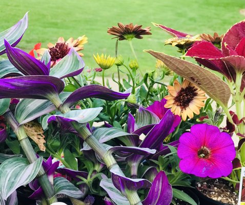 SARGENT’S NURSERY - Updated October 2025 - 75 Photos - 3352 N Service ...