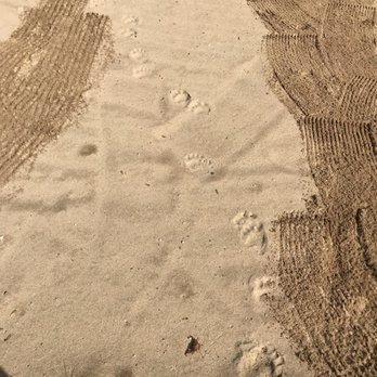 HESSEL RIDGE GOLF - Updated December 2025 - 10 Photos - 2061 N 3rd Mile ...