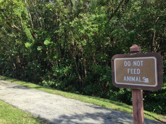 JAMES A RUTHERFORD PARK - 91 Photos & 10 Reviews - 600 NE 24th St, Boca ...