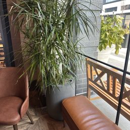 VILLAGE TAVERN - Updated March 2025 - 101 Photos & 52 Reviews - 4140 ...