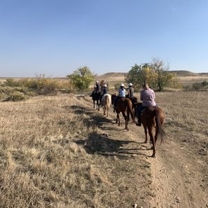 BEAR CREEK STABLES - 49 Photos & 38 Reviews - 15600 W Morrison Rd ...