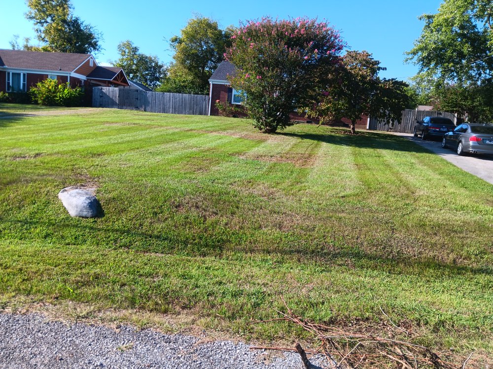 JENNIFER’S LAWN’S - Updated January 2025 - 19 Photos - Nashville ...
