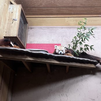 CAPRON PARK ZOO - Updated December 2025 - 223 Photos & 98 Reviews - 201 ...