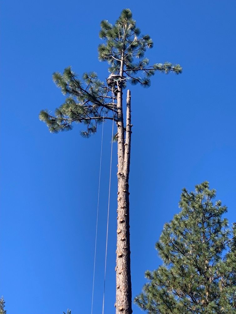 LIGHTNING TREE ENTERPRISES - Updated July 2025 - 10 Photos - Nevada ...