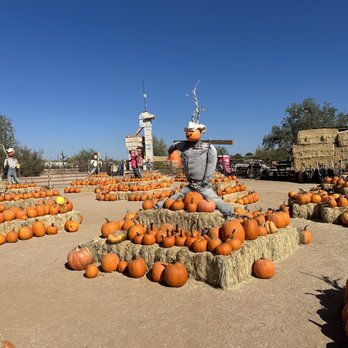 MACDONALD’S RANCH - Updated June 2024 - 478 Photos & 264 Reviews ...