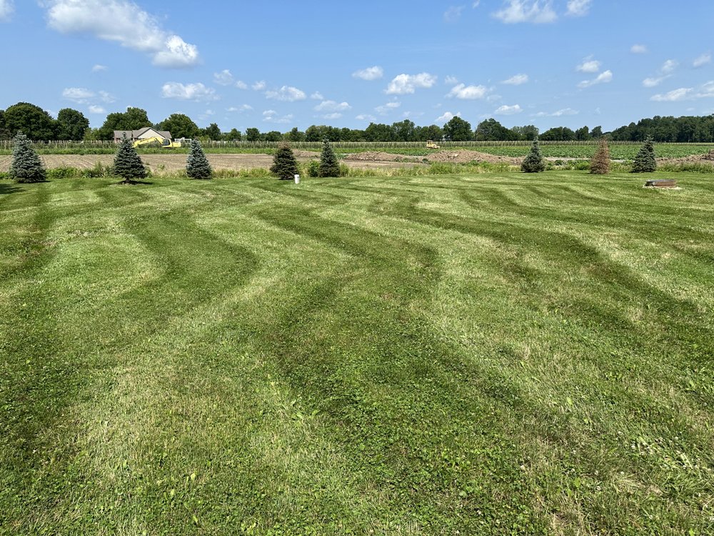 DOMBROWSKI LAWN CARE - Updated November 2025 - 10 Photos - St Clair ...