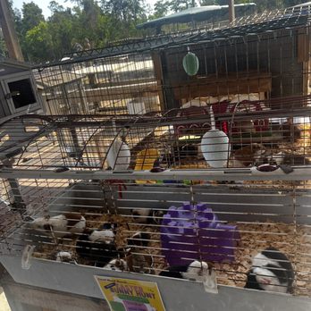 GOOD MOOD RANCH - Updated December 2025 - 148 Photos & 18 Reviews - 306 ...