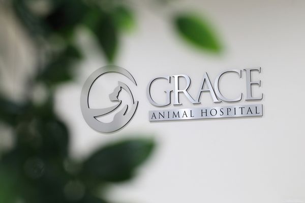 GRACE ANIMAL HOSPITAL - Updated April 2026 - 92 Photos & 88 Reviews ...