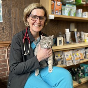 PATTON VETERINARY HOSPITAL - Updated January 2025 - 36 Reviews - 425 E ...