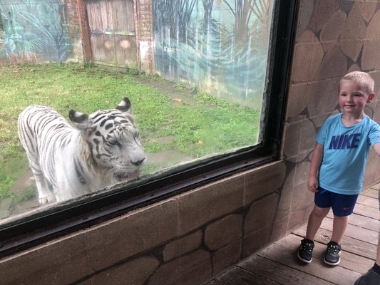 ZOOSIANA ZOO OF ACADIANA - 56 Photos & 32 Reviews - 5601 Hwy 90 E ...