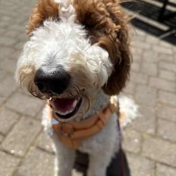 BASILISK - Updated December 2025 - 718 Photos & 633 Reviews - 820 NE ...