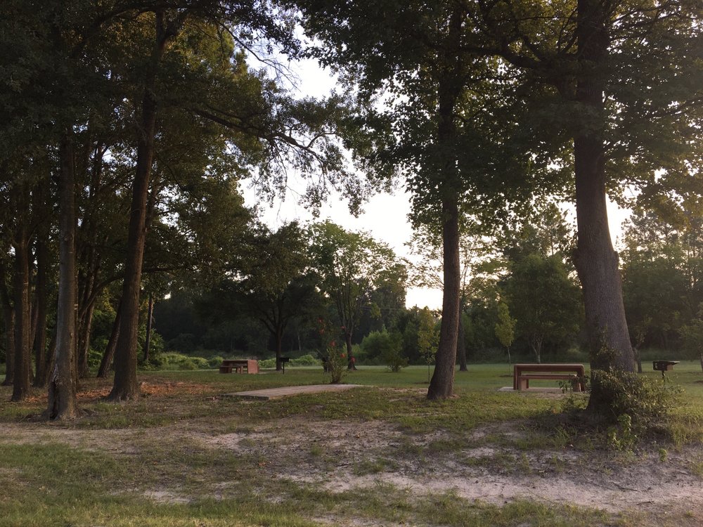 CHAMPION FOREST PARK - Updated July 2024 - 9650 Cypresswood Dr, Houston ...