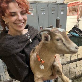 MEMORY LANE STABLES - Updated October 2025 - 168 Photos & 124 Reviews ...