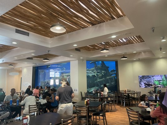SHARK REEF CAFE - Updated July 2025 - 103 Photos & 67 Reviews - 2601 ...