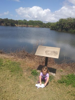 RED BUG SLOUGH - 15 Photos - Hiking - 5200 Beneva Rd, Sarasota, FL ...