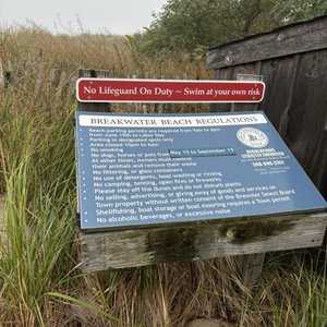 CHATHAM LIGHTHOUSE BEACH - Updated June 2025 - 126 Photos & 33 Reviews ...