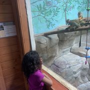 BRIGHT’S ZOO - 52 Photos & 22 Reviews - 3425 Hwy 11 E, Limestone ...