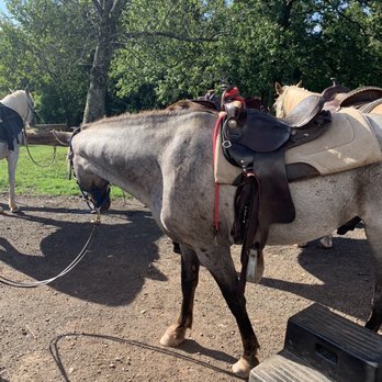 RED BUFFALO RANCH - Updated October 2025 - 69 Photos & 62 Reviews ...