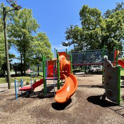 THE 10 BEST Things to Do in Beech Springs, TN - 2023 - Yelp