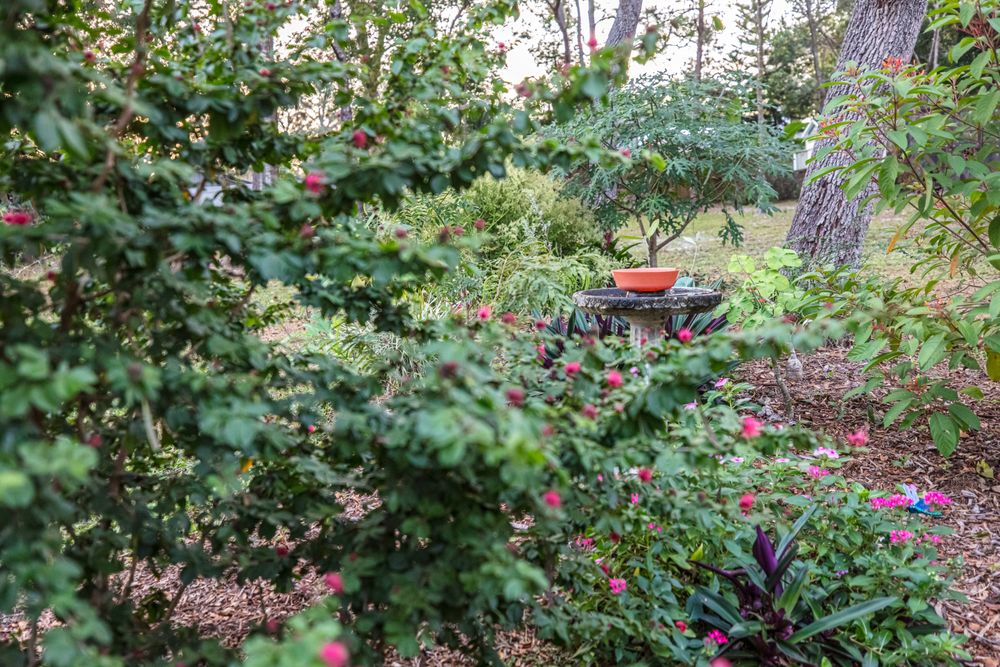 WILDSCAPE DESIGNS - Request a Quote - 11 Photos - Winter Springs ...