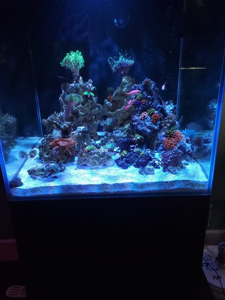 FISH MANIA - Updated January 2026 - 19 Photos & 16 Reviews - 4330 ...