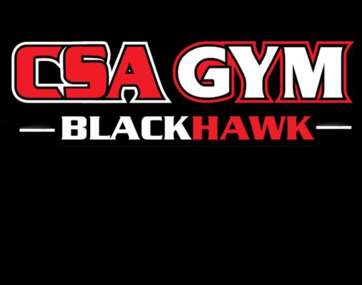 CSA GYM - Updated August 2024 - 35 Photos & 10 Reviews - 3464 Blackhawk ...