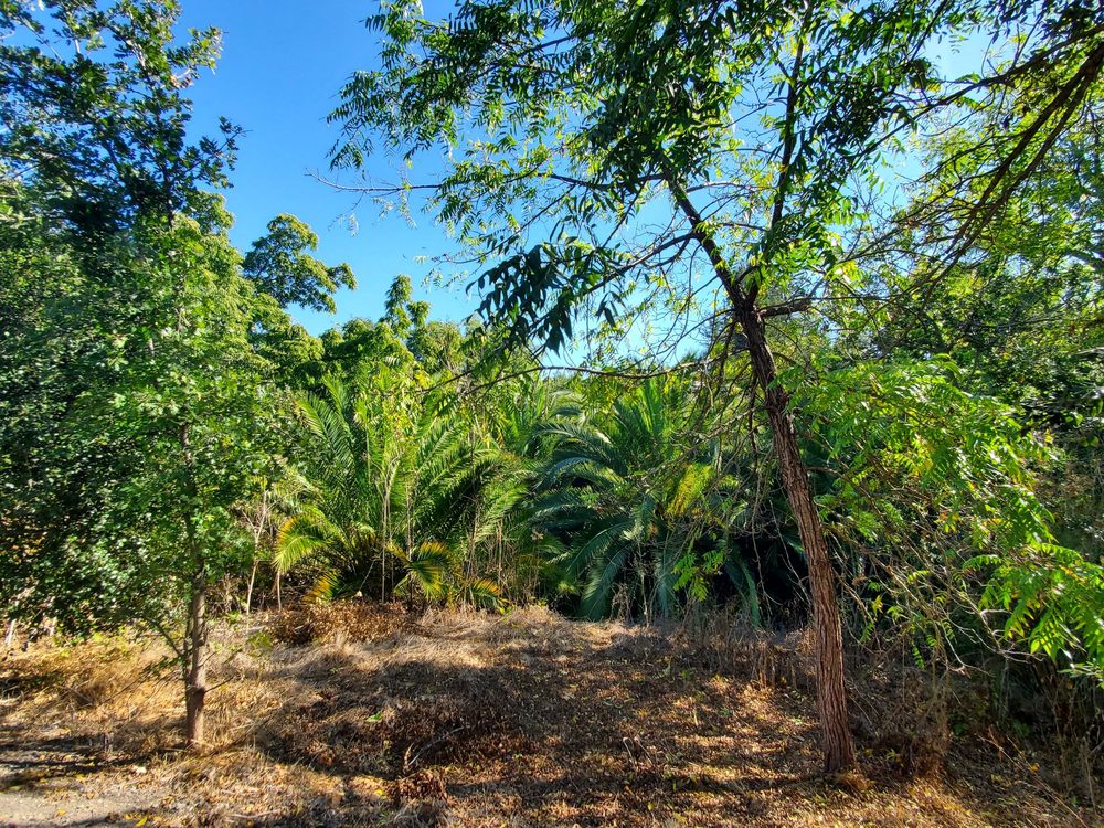 SABERCAT CREEK TRAIL - Updated December 2025 - 287 Photos & 24 Reviews ...