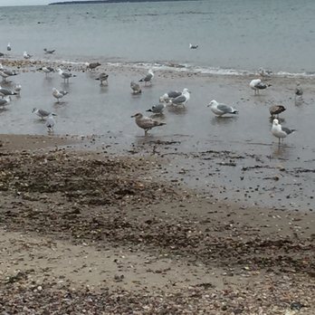 ORIENT BEACH STATE PARK - Updated September 2025 - 110 Photos & 40 ...