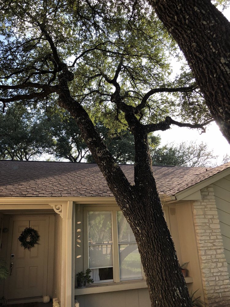 MUNOZ TREE SERVICE - Updated May 2026 - 15 Reviews - Austin, Texas ...