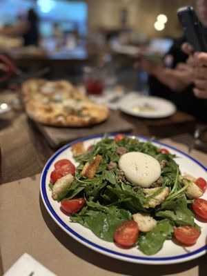 SCADDABUSH - Updated December 2025 - 587 Photos & 260 Reviews - 580 ...