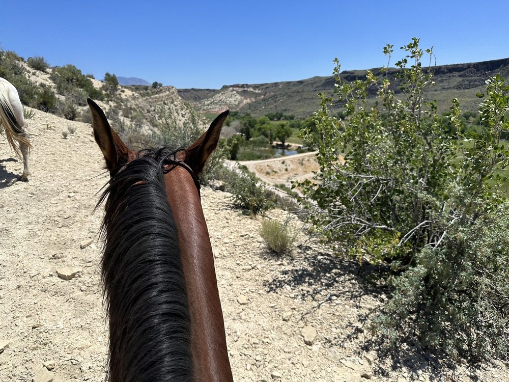 EAGLE MOUNTAIN RANCH - Updated December 2025 - 150 W 1400 Bldg, Gunlock ...