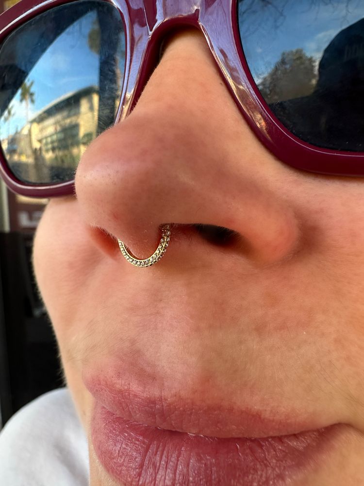 SILK TIGER PIERCINGS & TOOTH GEMS - Updated November 2024 - Request an ...