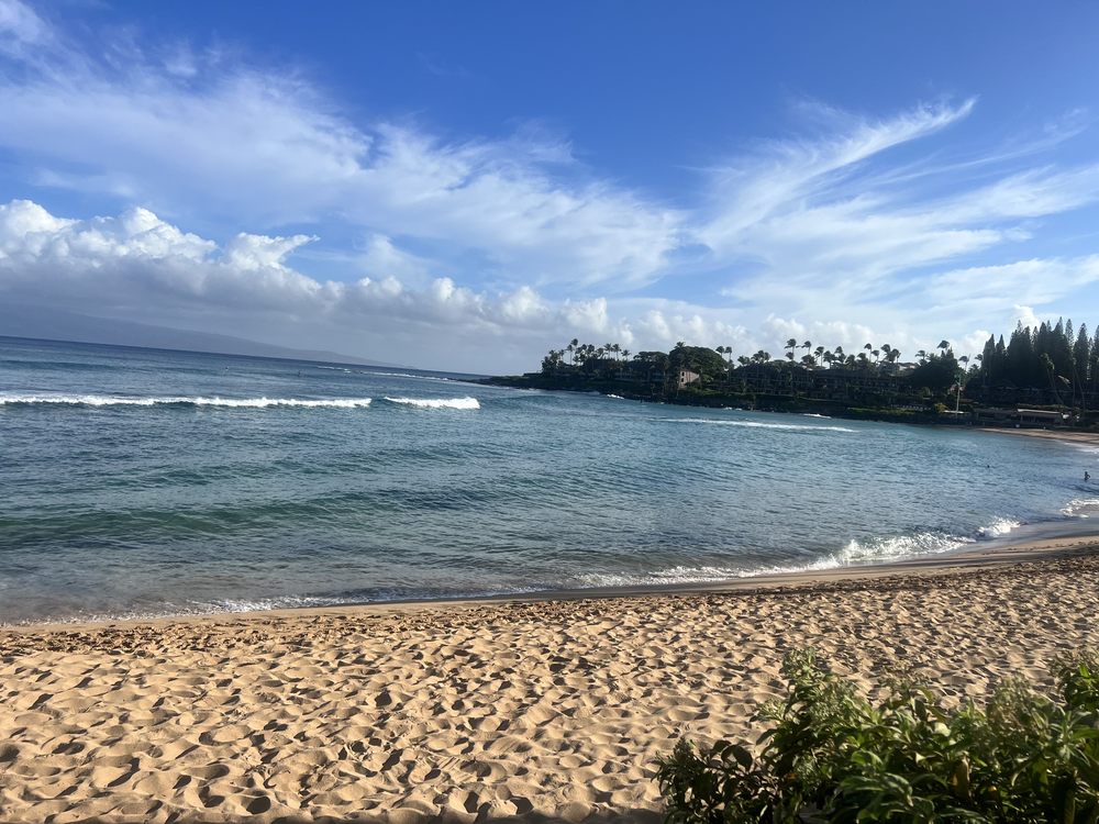 NAPILI SURF BEACH RESORT - Updated May 2025 - 88 Photos & 52 Reviews ...