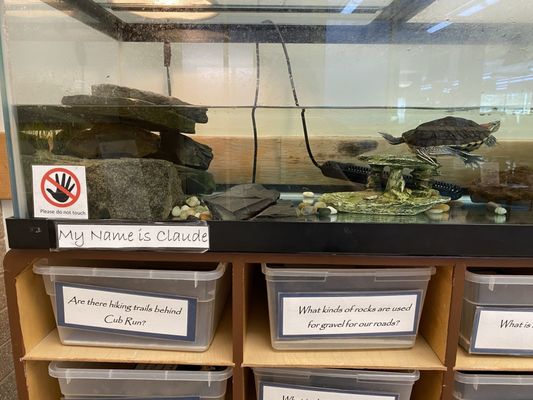 CUB RUN RECREATIONAL CENTER - Updated October 2025 - 24 Photos & 65 ...