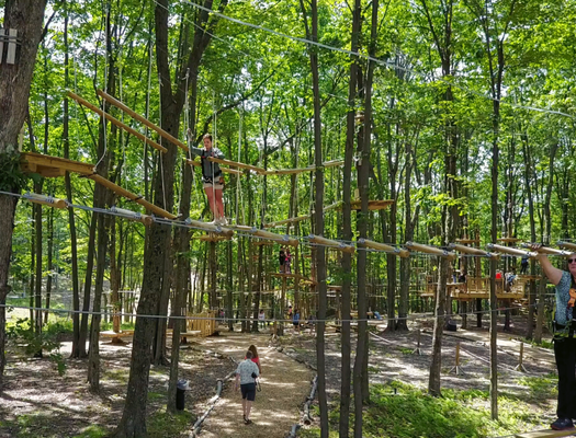 GORILLA GROVE TREETOP ADVENTURES - 41 Photos - 250 Kalahari Blvd ...