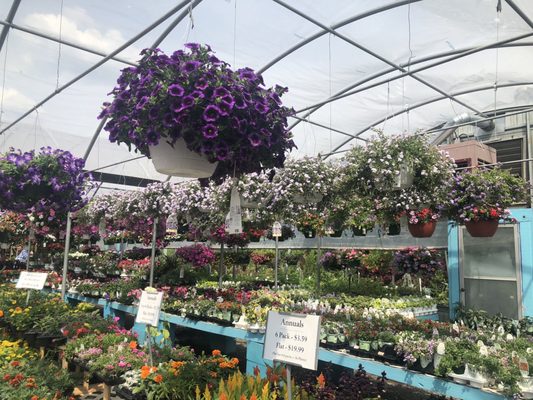 WILLOW RIDGE GARDEN CENTER & LANDSCAPING - Updated May 2025 - 13 Photos ...