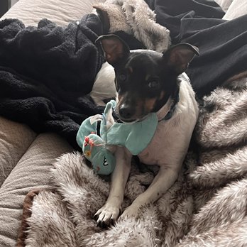 ANDERSON HUMANE - Updated December 2025 - 47 Photos & 77 Reviews - 1000 ...