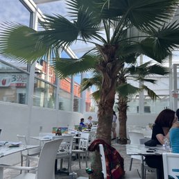 CABO - Updated December 2025 - 775 Photos & 833 Reviews - 3A N Park Ave ...