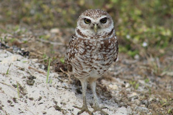 BRIAN PICCOLO SPORTS PARK & VELODROME - 130 Photos & 36 Reviews - 9501 ...