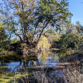 SYCAMORE GROVE PARK - Updated September 2025 - 378 Photos & 88 Reviews ...