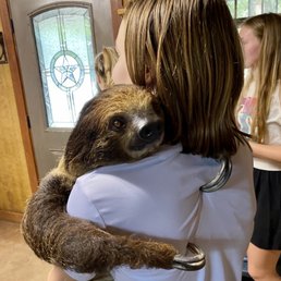 OAK MEADOW RANCH FEATURING THE WHITEHORSE STEAKHOUSE - 369 Photos & 110 ...