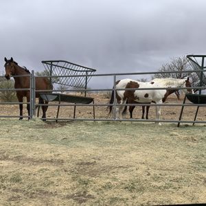 BELLE STARR’S SILVERADO RANCH - Updated February 2025 - 5189 W Hwy 80 ...
