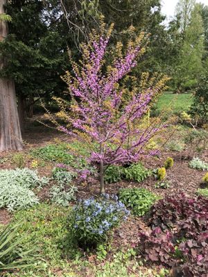 STONELEIGH: A NATURAL GARDEN - 164 Photos & 11 Reviews - 1829 County ...