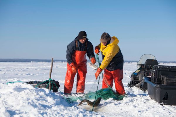 MASSEY FISH - Updated March 2025 - 23 Photos & 11 Reviews - 1442 West ...