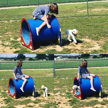 BUDA SPORTSPLEX DOG PARK - Updated December 2025 - 11 Reviews - 465 ...