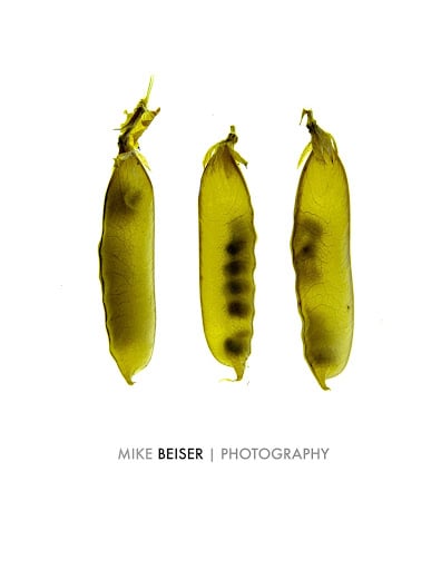 MIKE BEISER PHOTOGRAPHY - 1027 E 5th St, Moscow, ID - Yelp