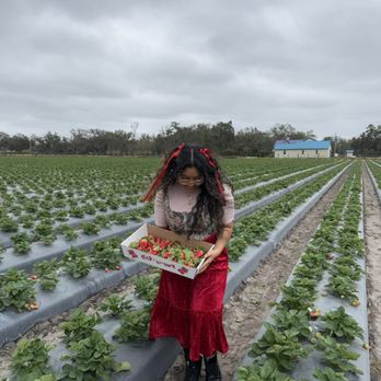 THREE SONS FARM - Updated January 2026 - 72 Photos & 21 Reviews - 3830 ...