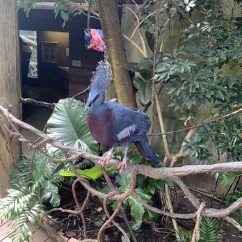 FORT WAYNE ZOO - Updated October 2025 - 375 Photos & 116 Reviews - 3411 ...