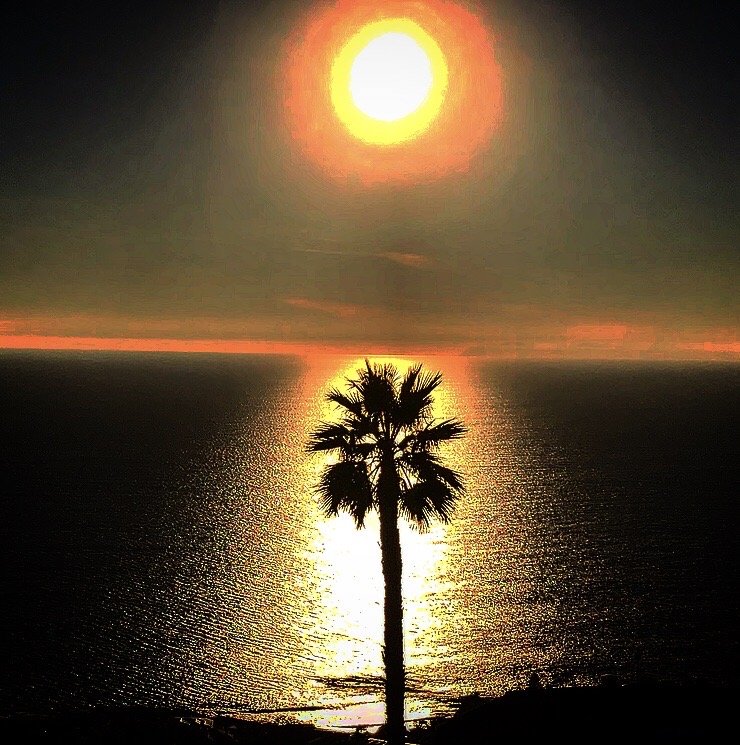 AM/PM PROPERTY MANAGEMENT - Updated January 2026 - 44 Reviews - 17641 ...