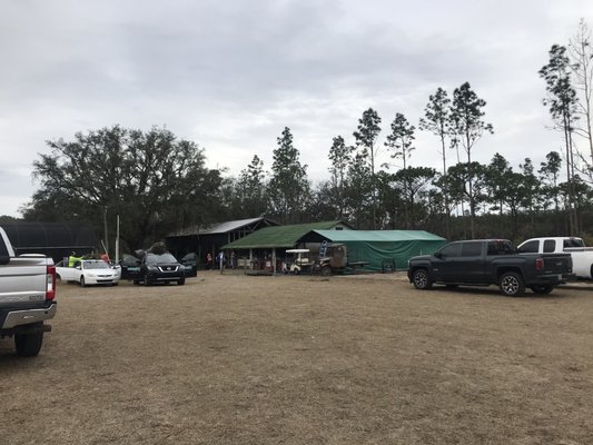 ERGLE CHRISTMAS TREE FARM - Updated October 2025 - 31 Photos & 17 ...